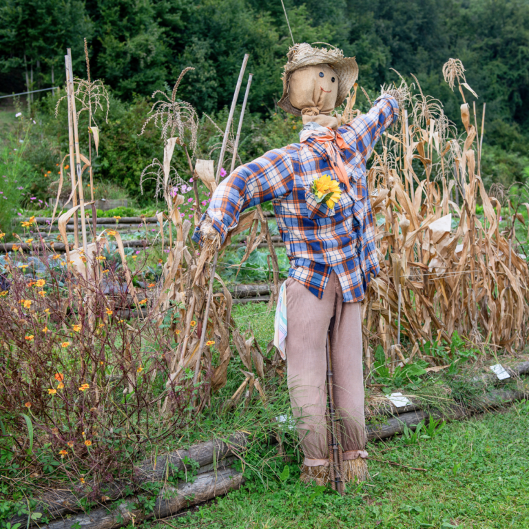 Scarecrow Festival | Prince Edward County Arts Council