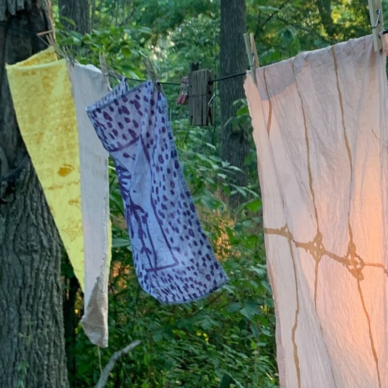 Painting with Natural Dyes with Megan Fitzgerald | Prince Edward County ...