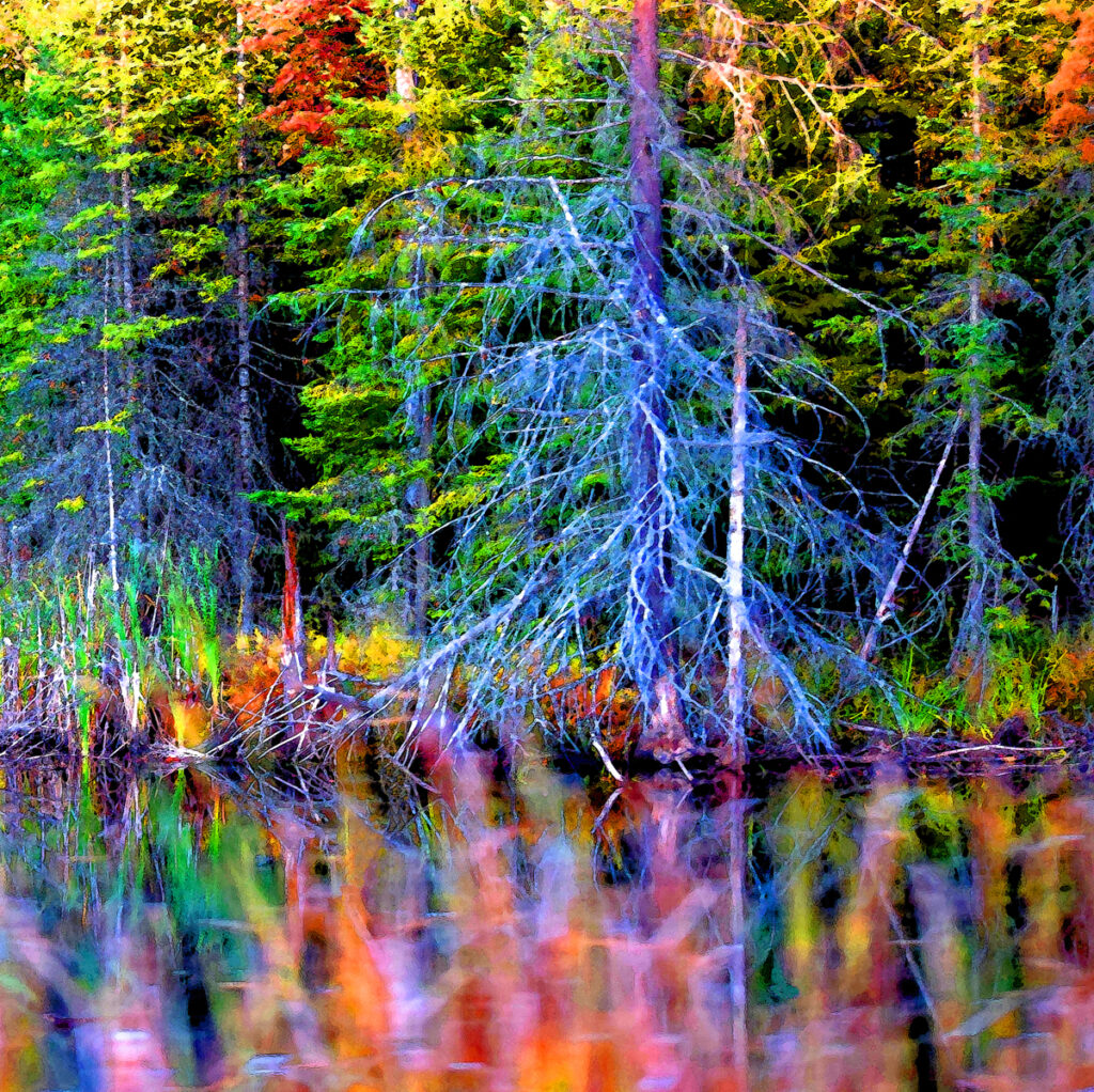 LUMINOUS - Holiday Art Show & Sale | Prince Edward County Arts Council